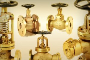 Network enterprises Co. Ltd.